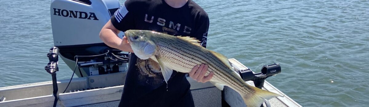 Oregon Salmon Fishing - Striped Bass - Crabbing - Fish Oregon Guide ...