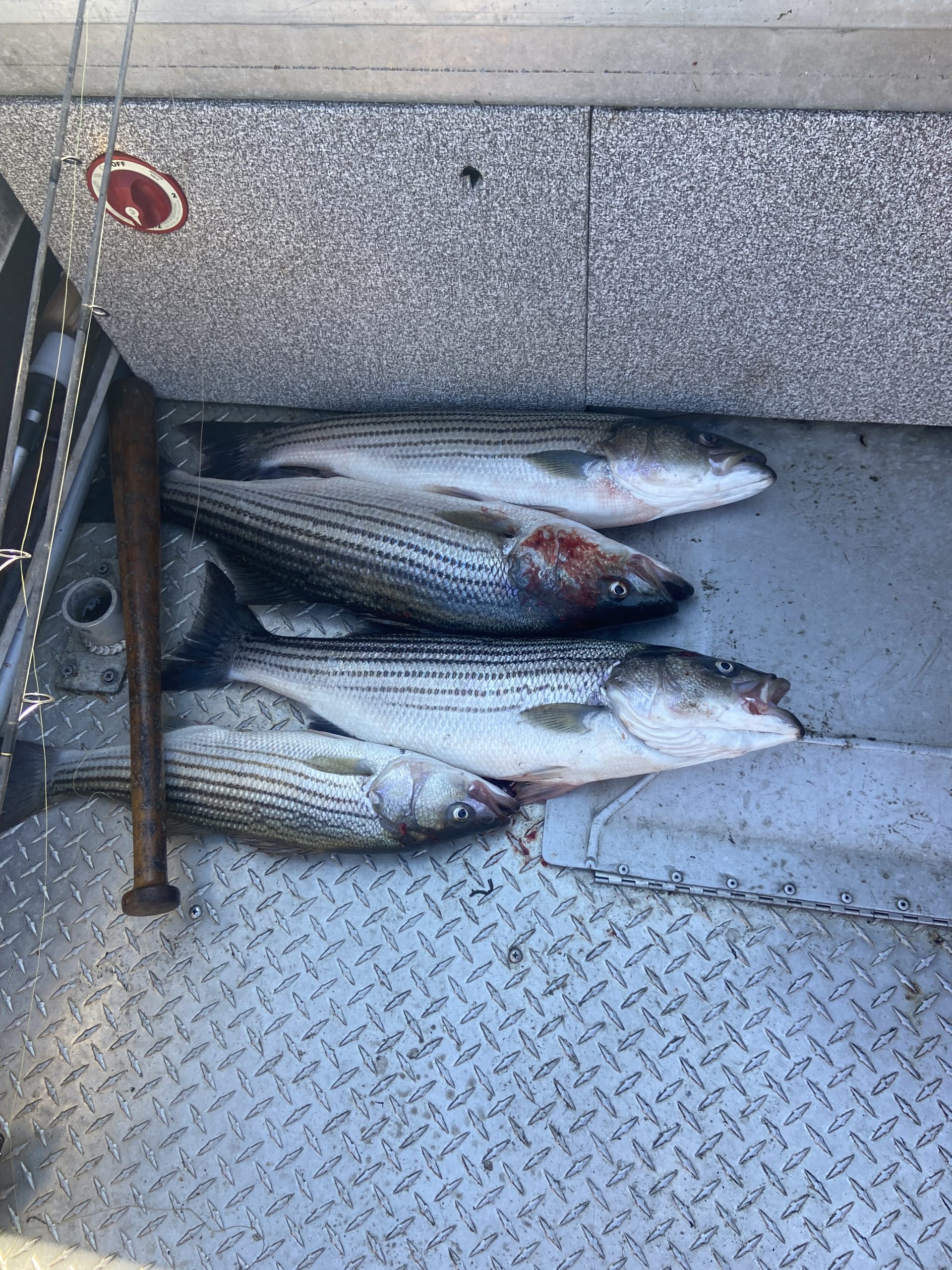2021 In Review - FISH OREGON GUIDE SERVICE