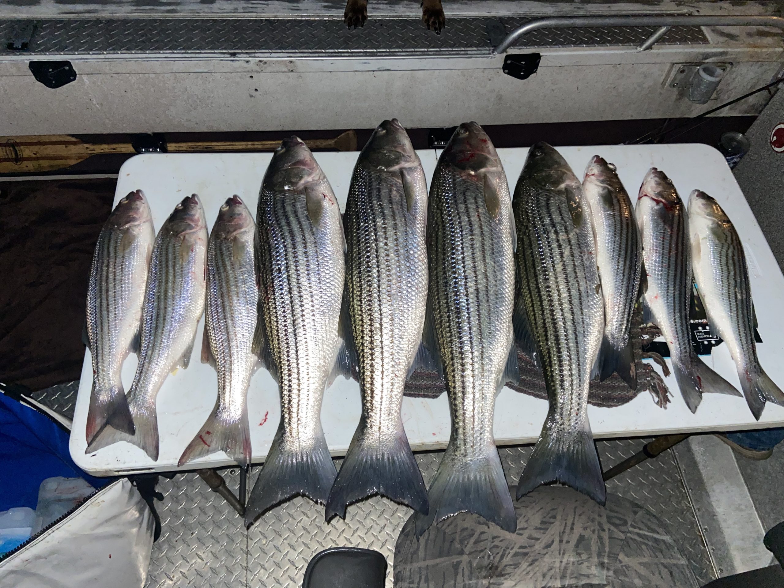 2021 In Review - FISH OREGON GUIDE SERVICE