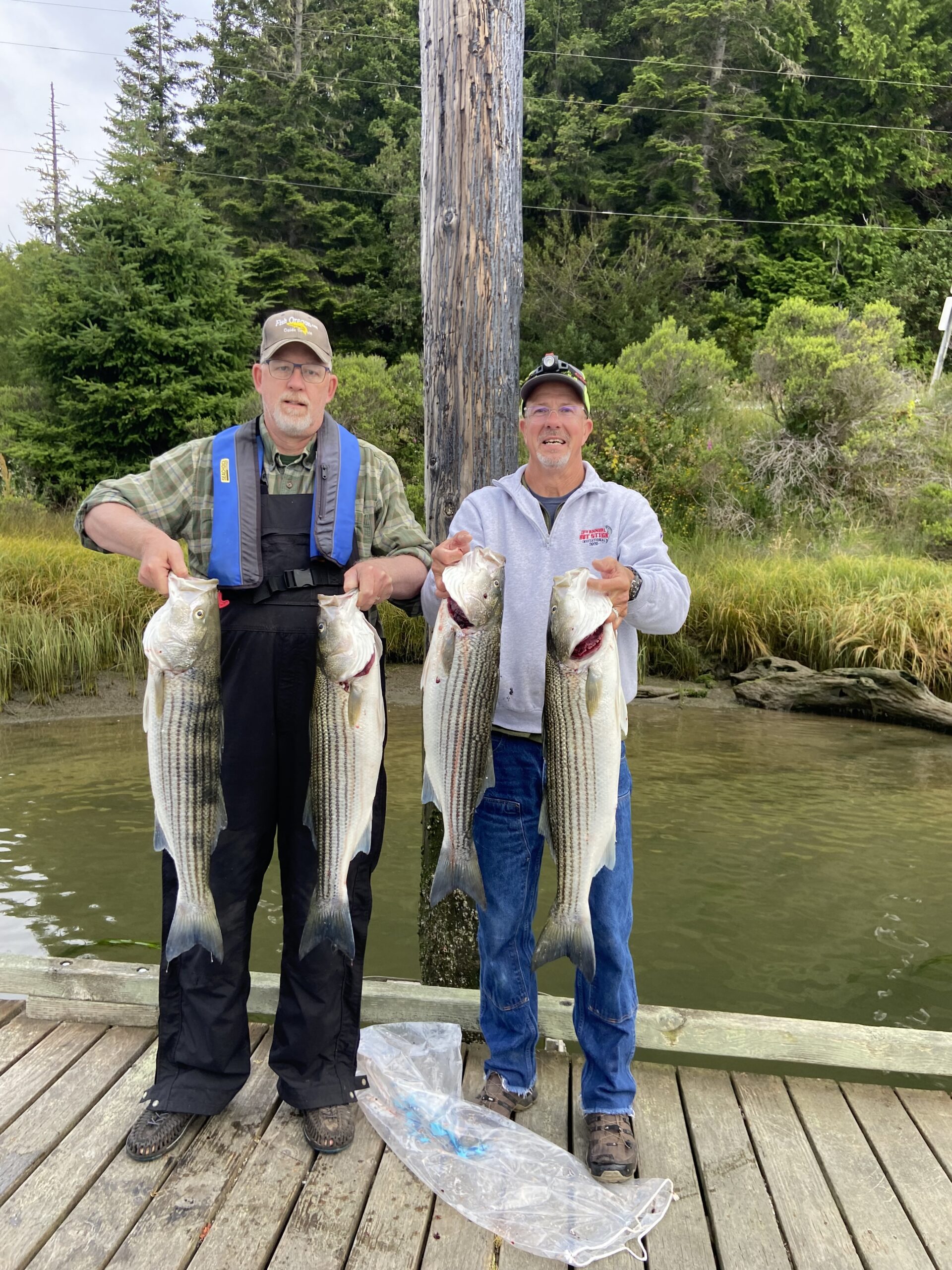 Striper Update - FISH OREGON GUIDE SERVICE